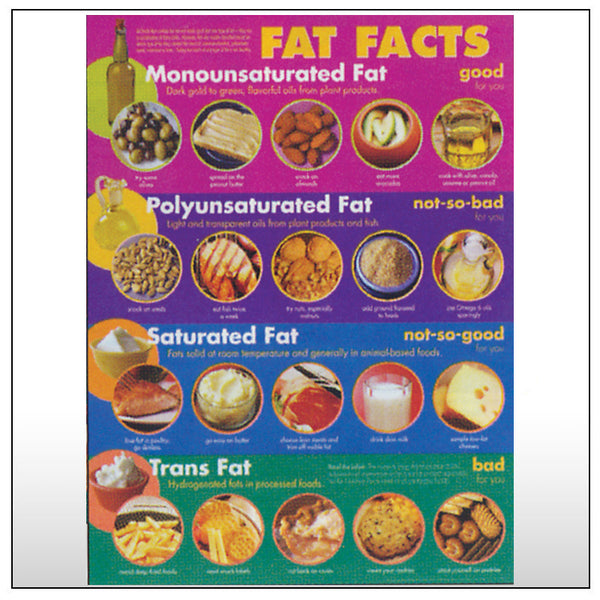 Fat Facts Poster – Creative Health Products