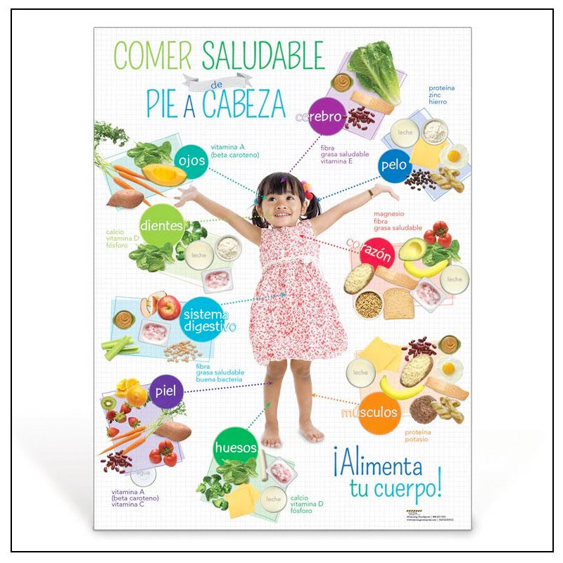 Preschool Healthy Eating from Head to Toe Spanish Poster – Creative ...